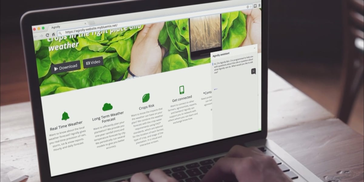 IBM furthers its climate action with this year’s Call for Code Challenge IBM furthers its climate action with this year’s Call for Code Challenge